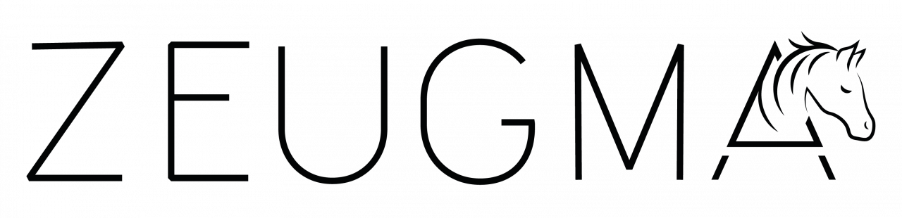 Zeugma coaching - Équicoaching et philosophie